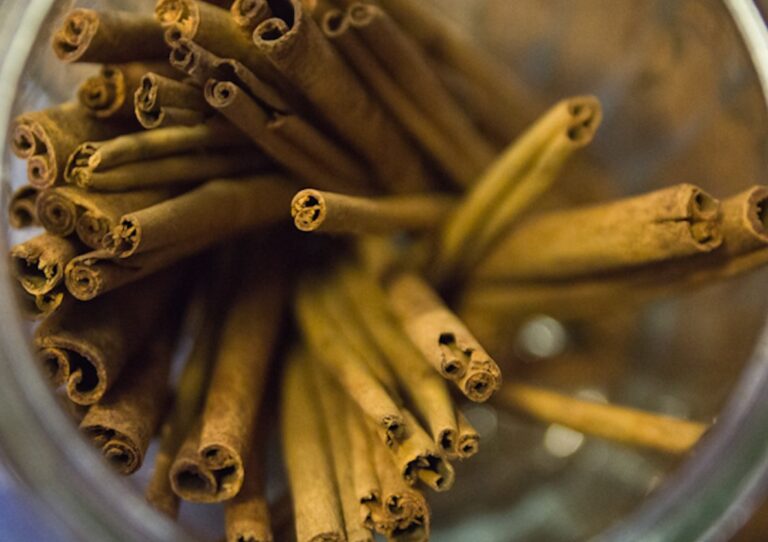 Ecuador Identifies Cinnamon Processor As Source Of Lead Poisoning In US ...